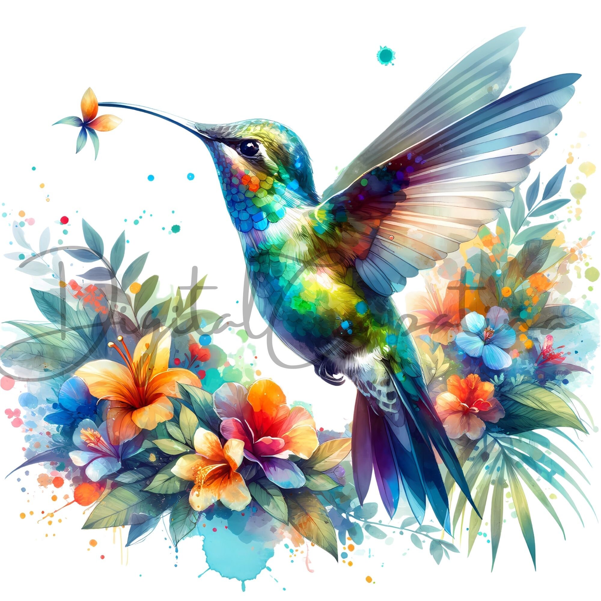 Watercolor Hummingbird Clipart 15 PNG Digital Download Mixed Media ...