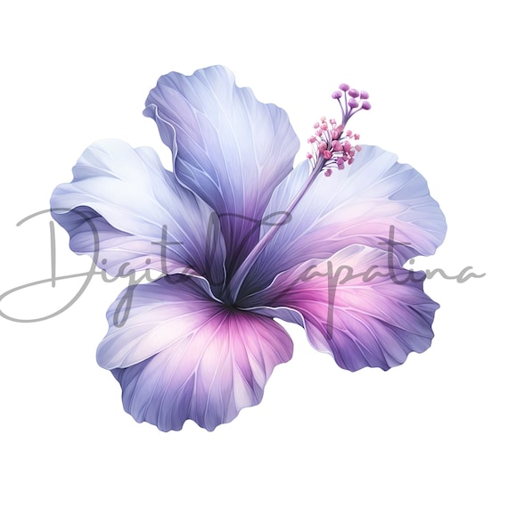 Purple Hawaiian Flowers Clip Art Hibiscus Flower Svg, Hibiscus Svg