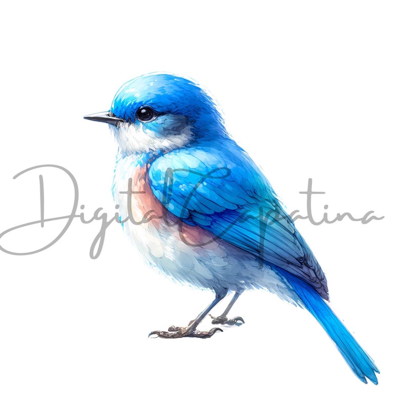 Watercolor Blue Bird Clipart 13 PNG Digital Download Forest Animals ...