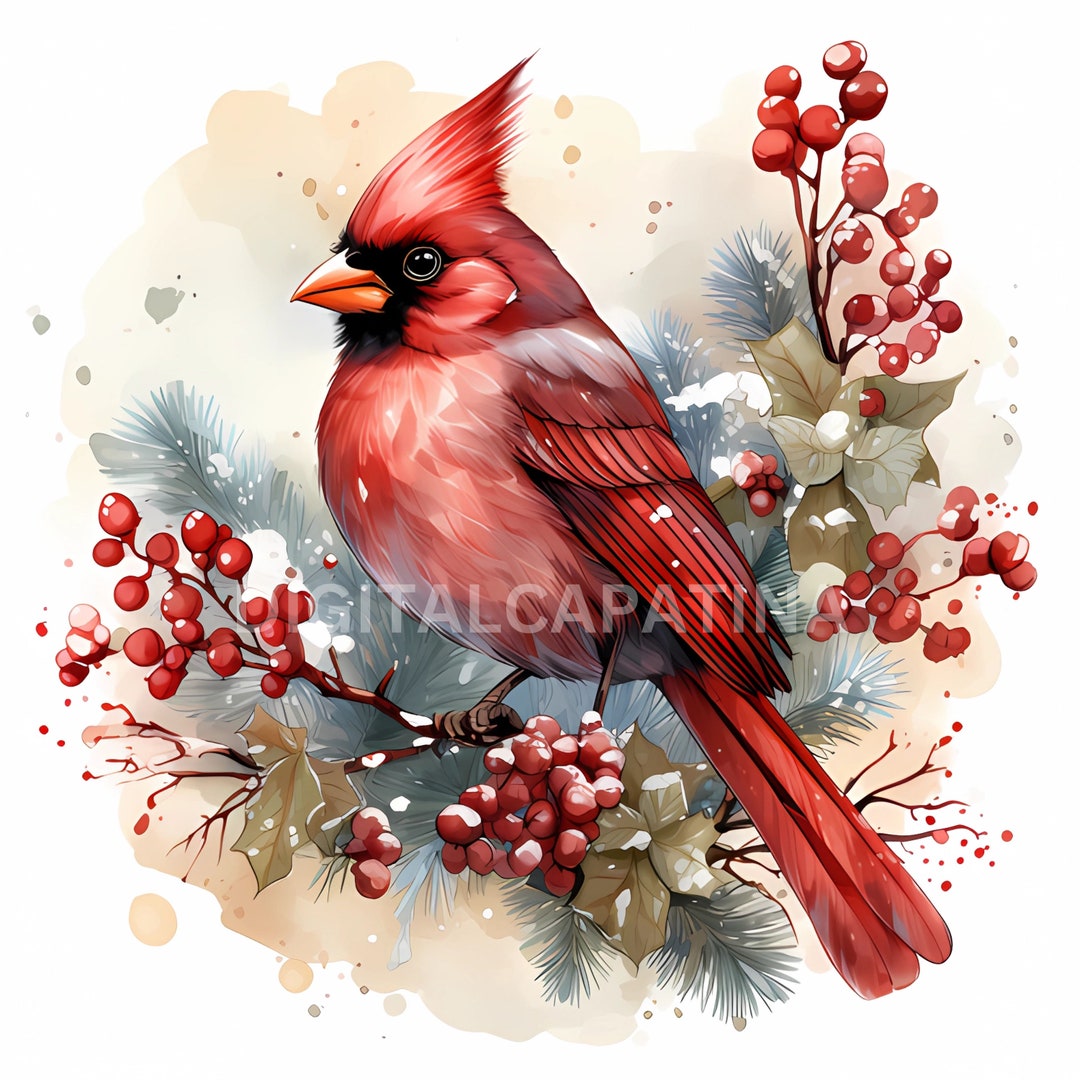 Christmas Red Cardinal Clipart 10 High Quality Jpgs, Digital Download ...