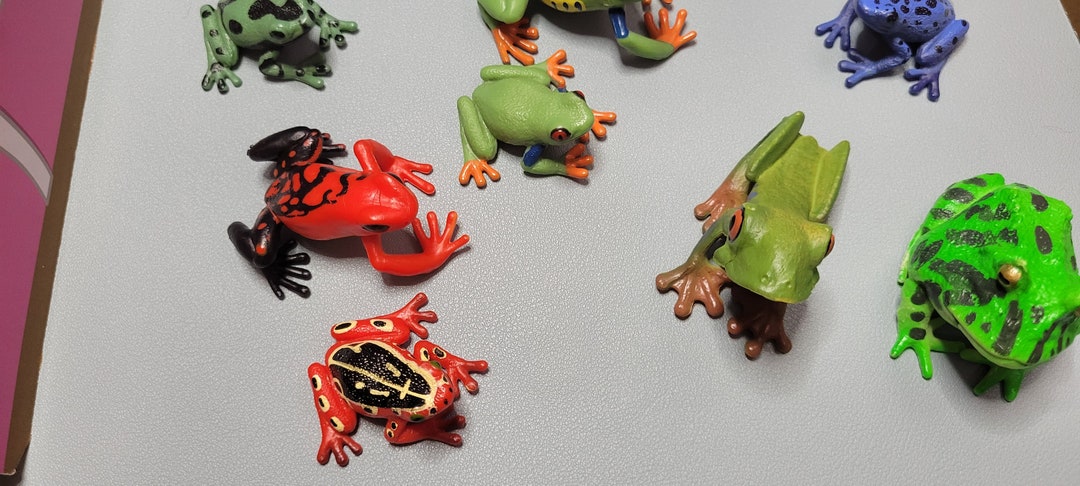 Toymany 10pcs Frog Toy Figures Realistic Rainforest Animal - Etsy