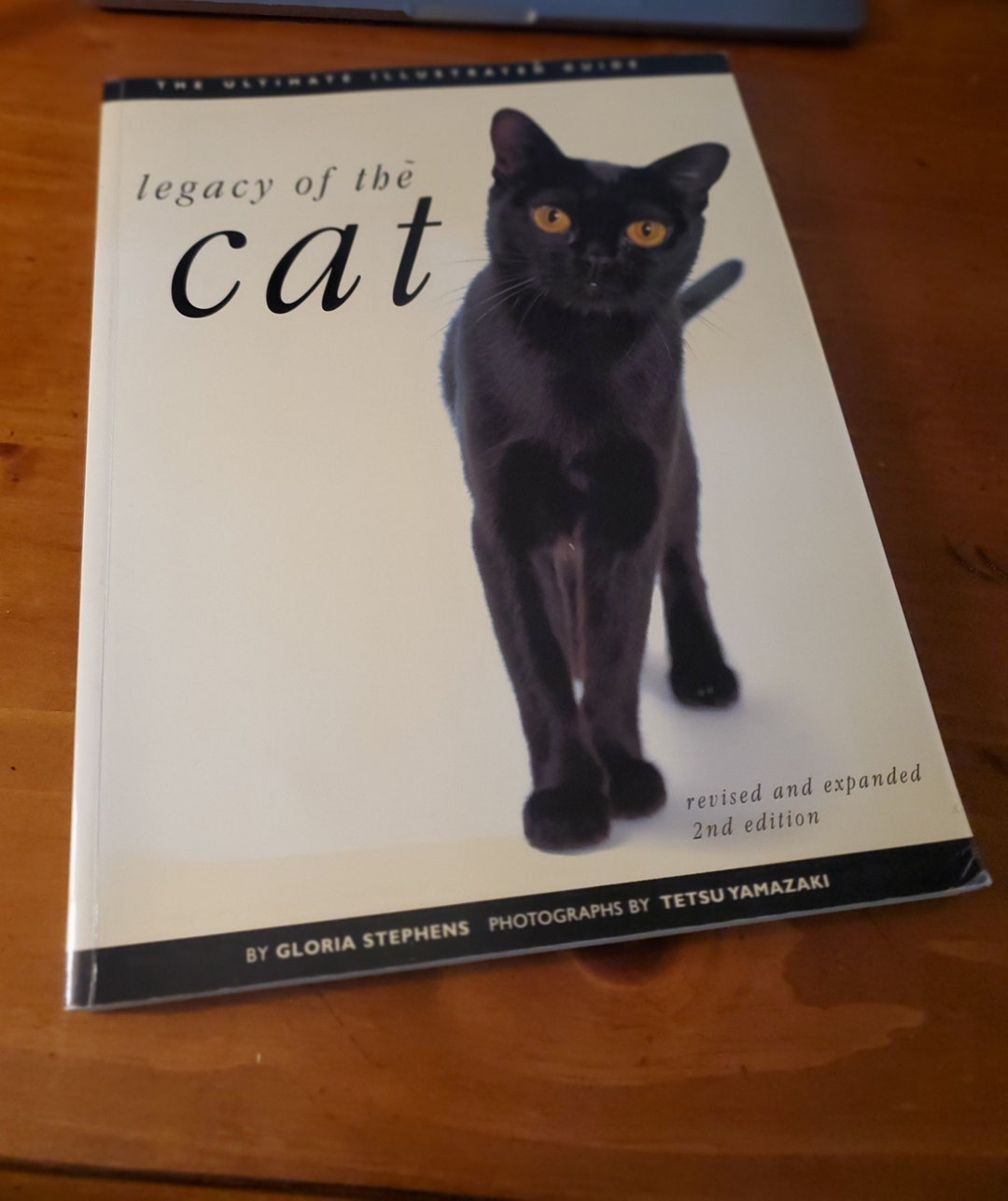Legacy of the Cat by Gloria Stephens - Etsy