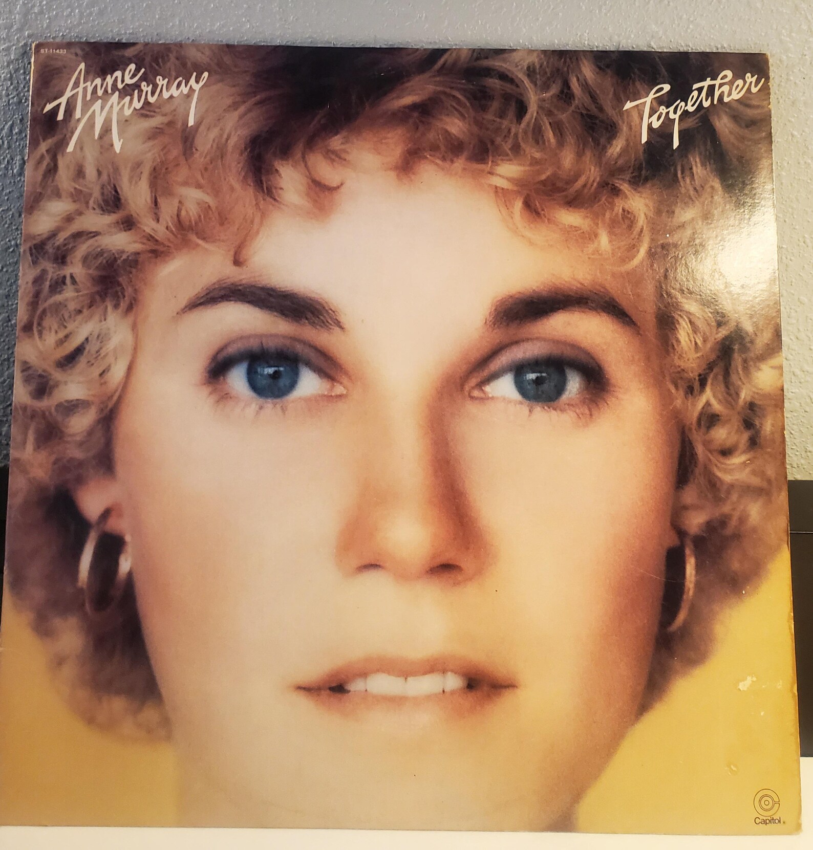 Anne Murray "together" 1975 Country LP - Etsy