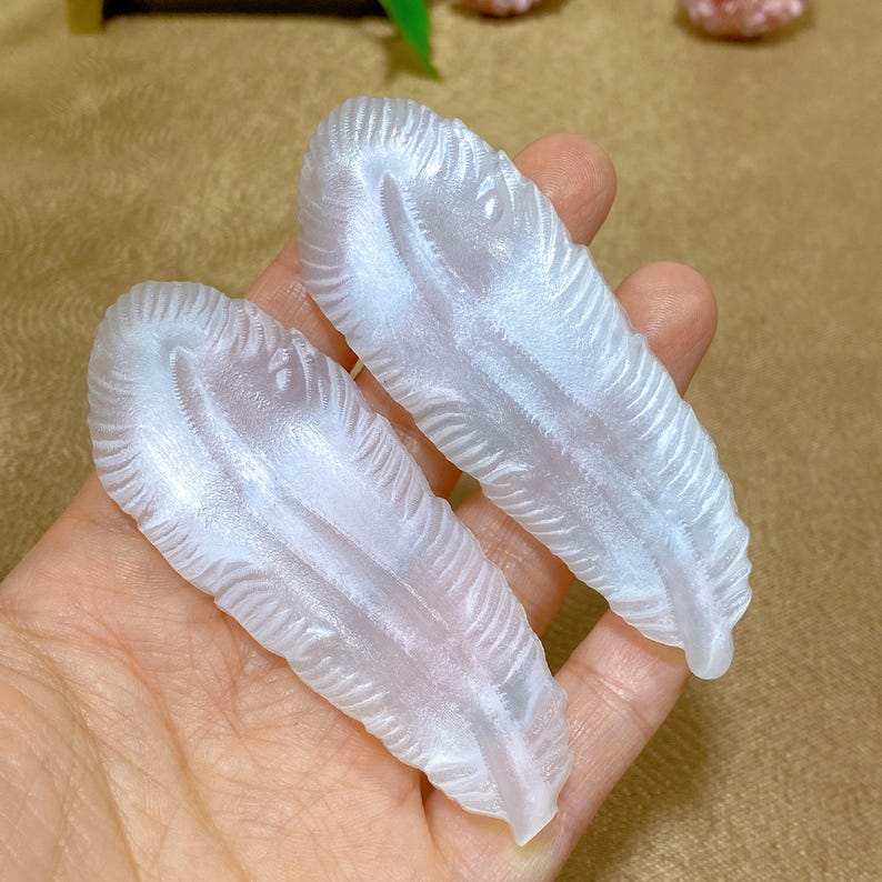 Natural Selenite Feather,quartz Crystal Feather,mineral Specimen,reiki ...