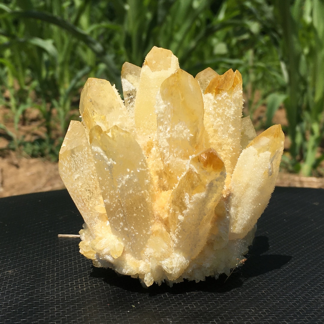 Natural Yellow Quartz Crystal Cluster,crystal Vug,rock,collection ...