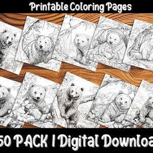 Adorable Bear Coloring Pages: Fun and Relaxing Activity for Kids and ...