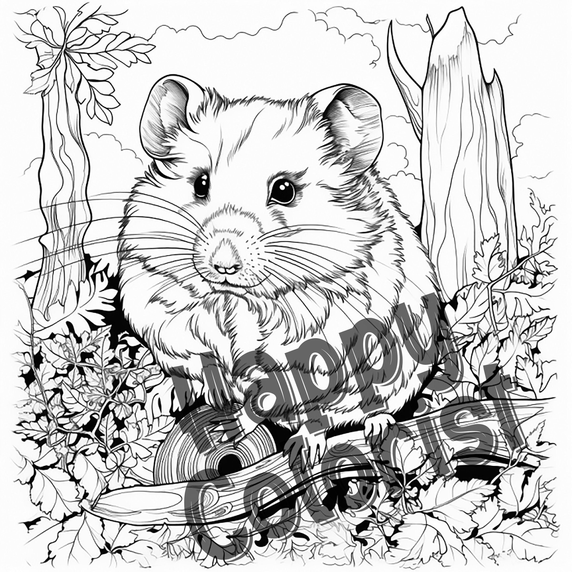 Hamster Coloring Pages: Dive Into the Cute World of Hamsters With Our ...
