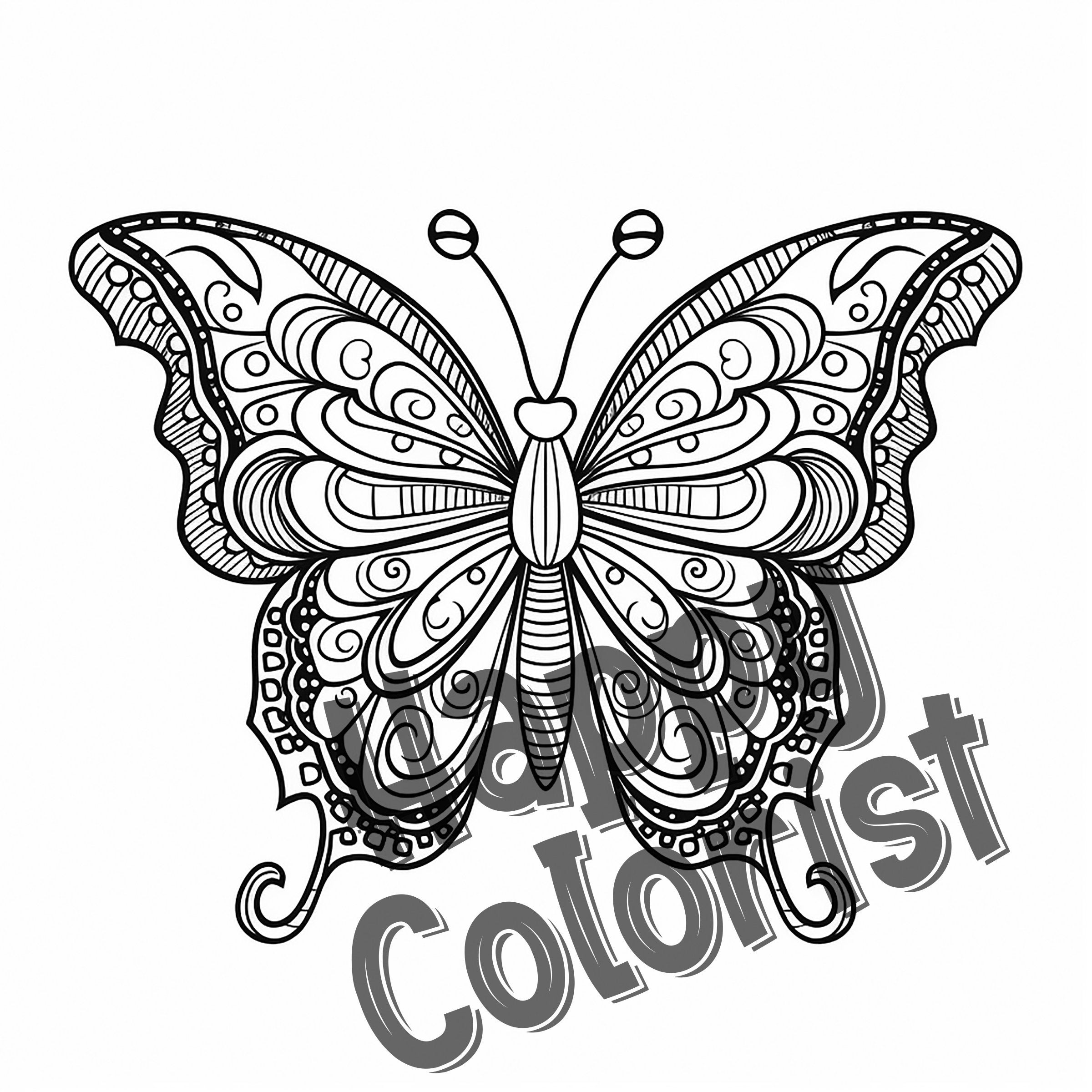 Butterfly Coloring Pages: Embrace the Magic of Nature With Our ...