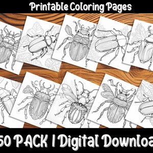 Beetle Coloring Pages: Engaging and Relaxing Activity for All Ages ...
