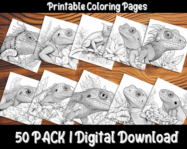 Exotic Lizard Coloring Pages: Engaging Activity for Kids and Adults ...