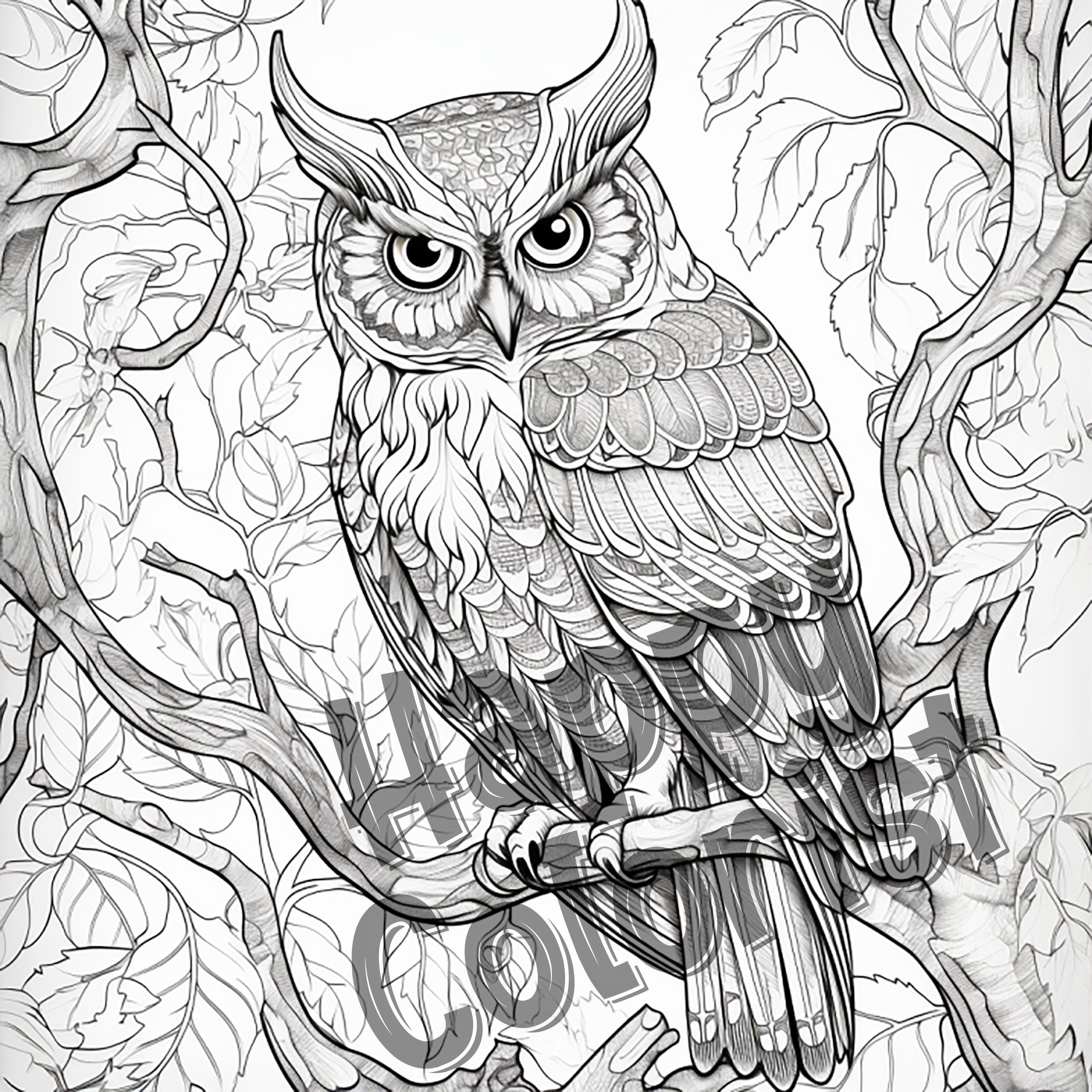 Owl Wonderland Coloring Pages - 50 Pack of Fun & Complex Owl Coloring ...