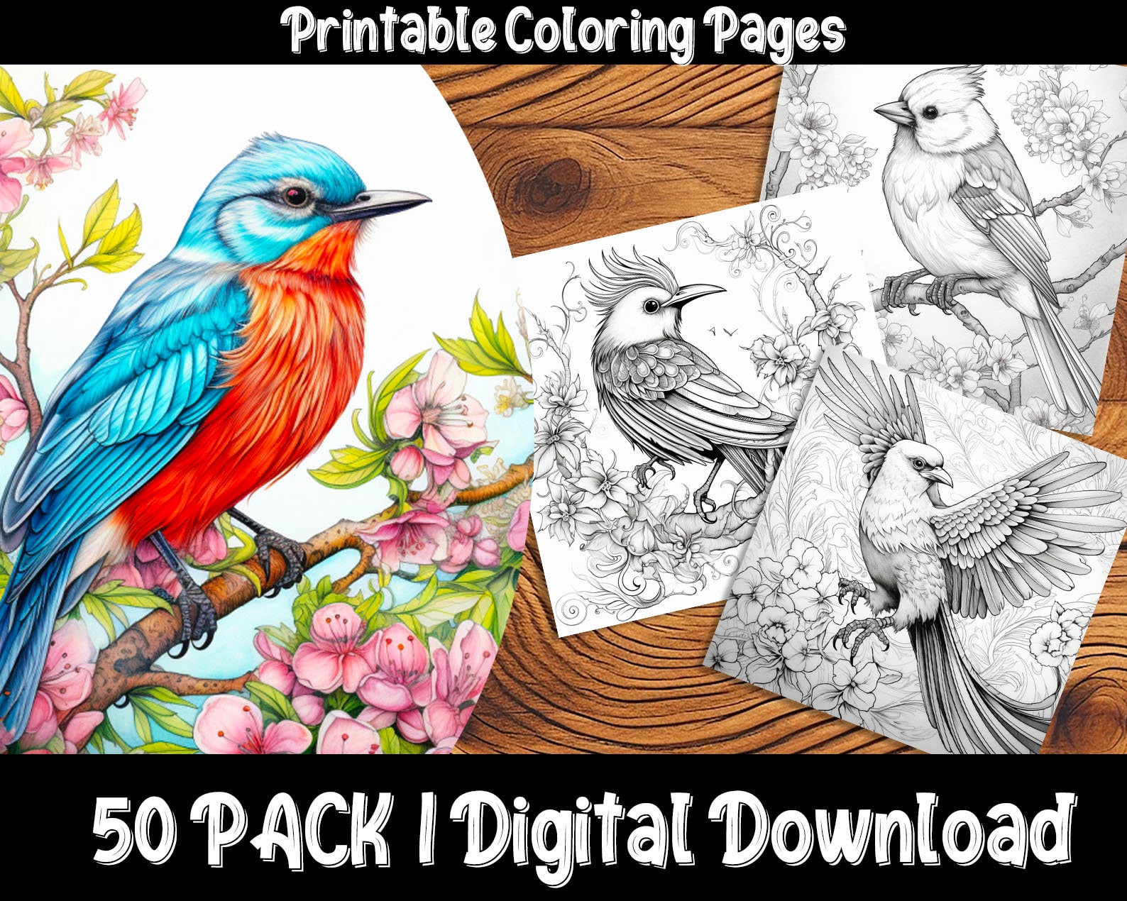 Bird-themed Coloring Pages: Engaging and Relaxing Activity for All Ages ...