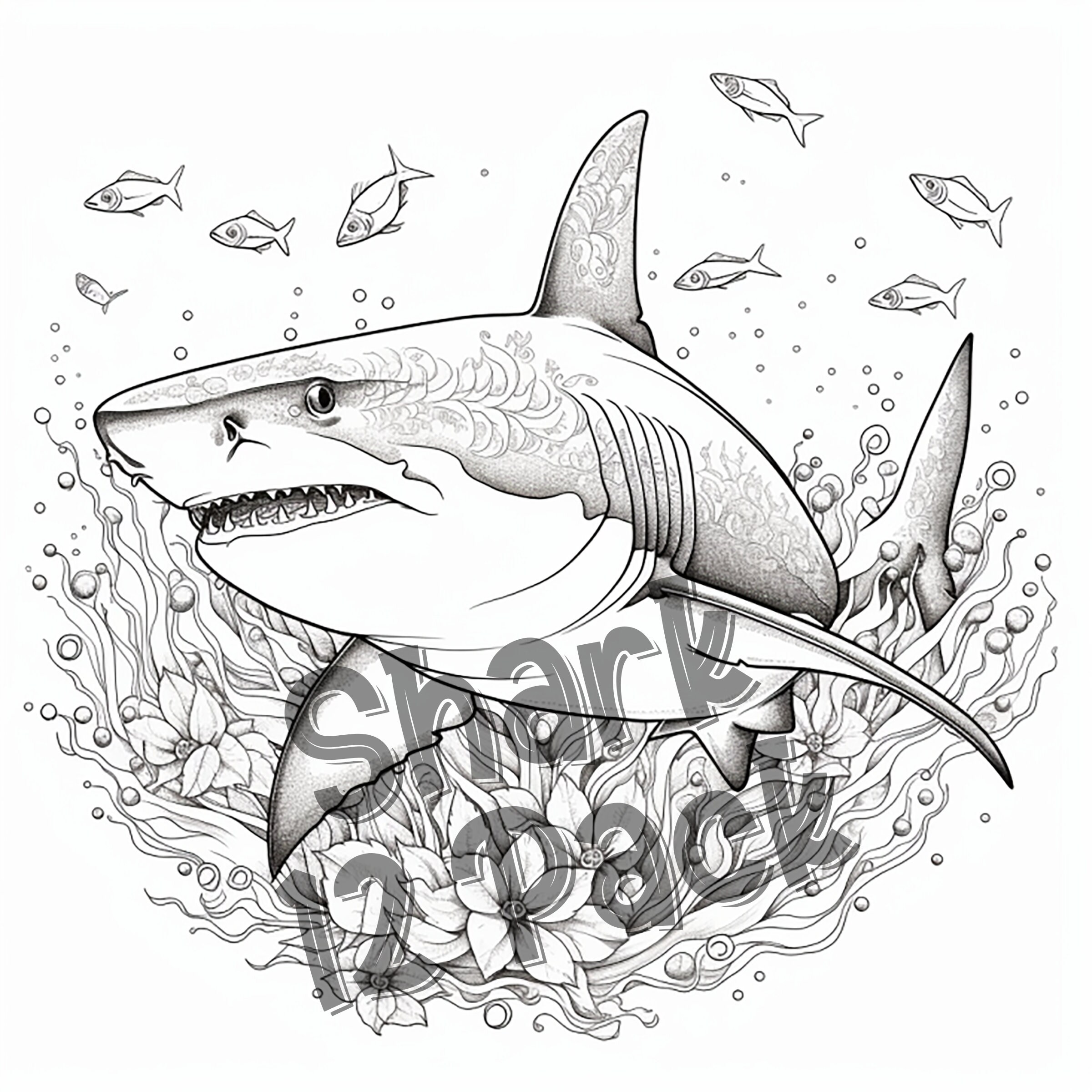Shark Infested Waters Adult Coloring Pages - Pack of 50, Digital ...