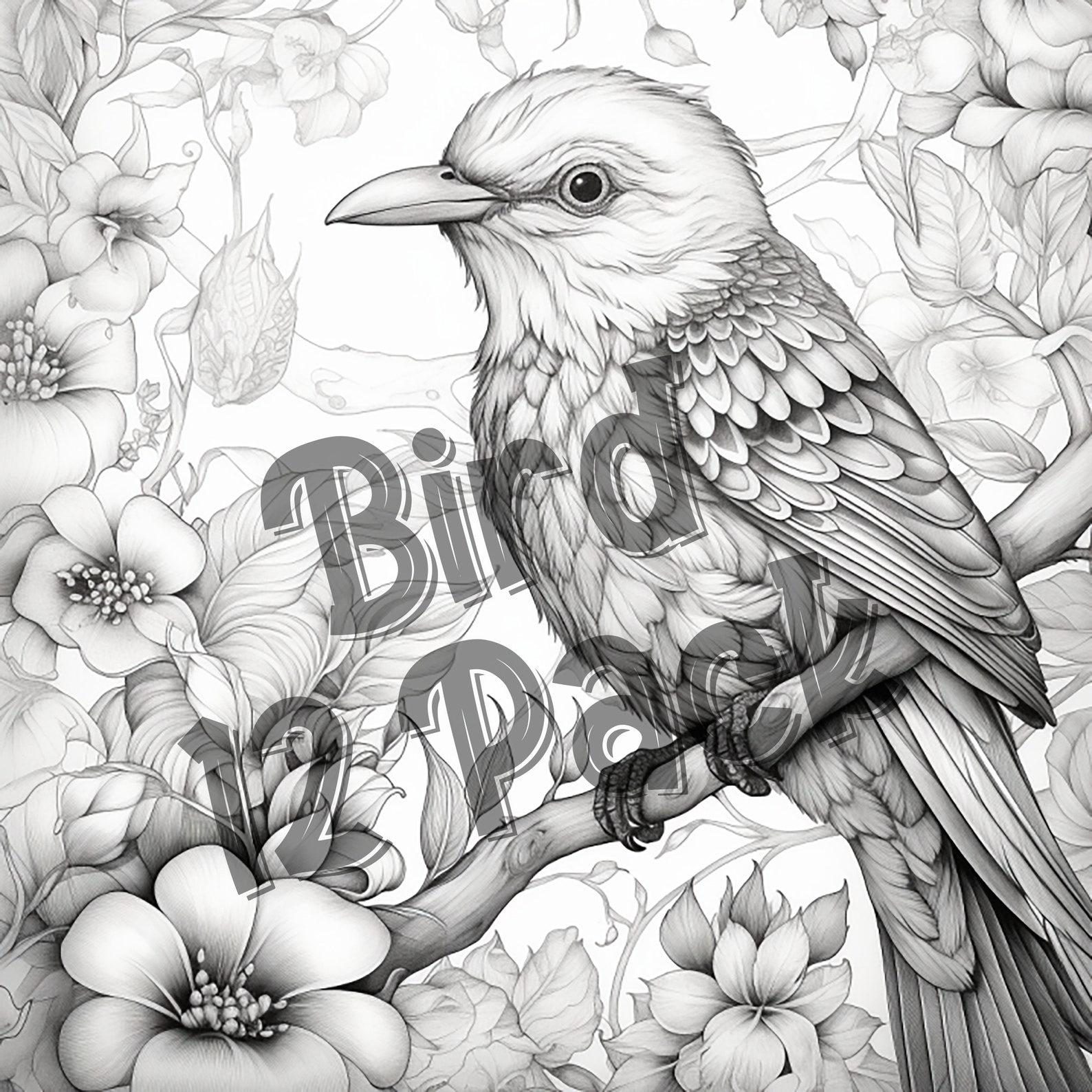 Bird-themed Coloring Pages: Engaging and Relaxing Activity for All Ages ...