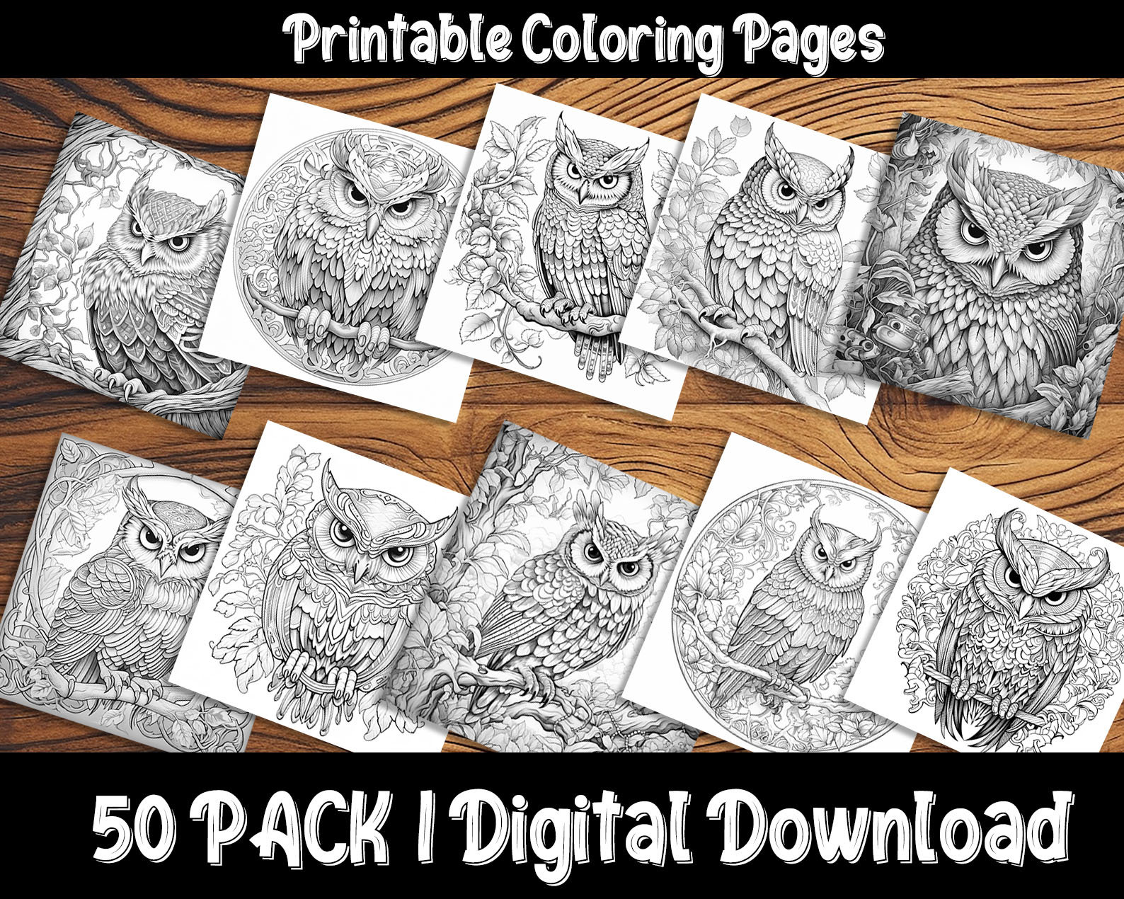 Owl Wonderland Coloring Pages 50 Pack of Fun & Complex Owl Coloring ...