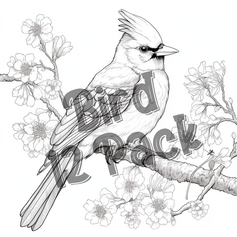 Bird-themed Coloring Pages: Engaging and Relaxing Activity for All Ages ...