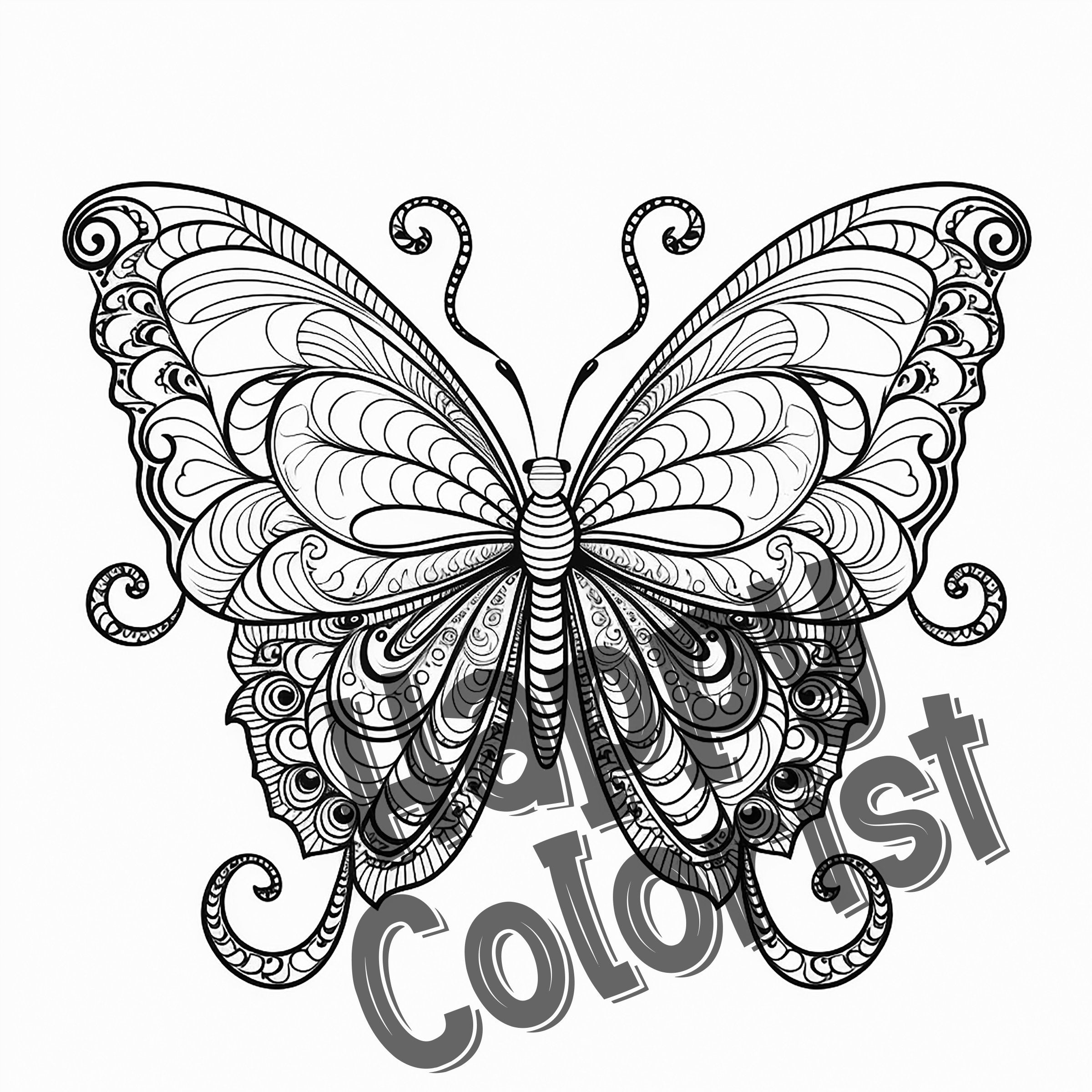 Butterfly Coloring Pages: Embrace the Magic of Nature With Our ...