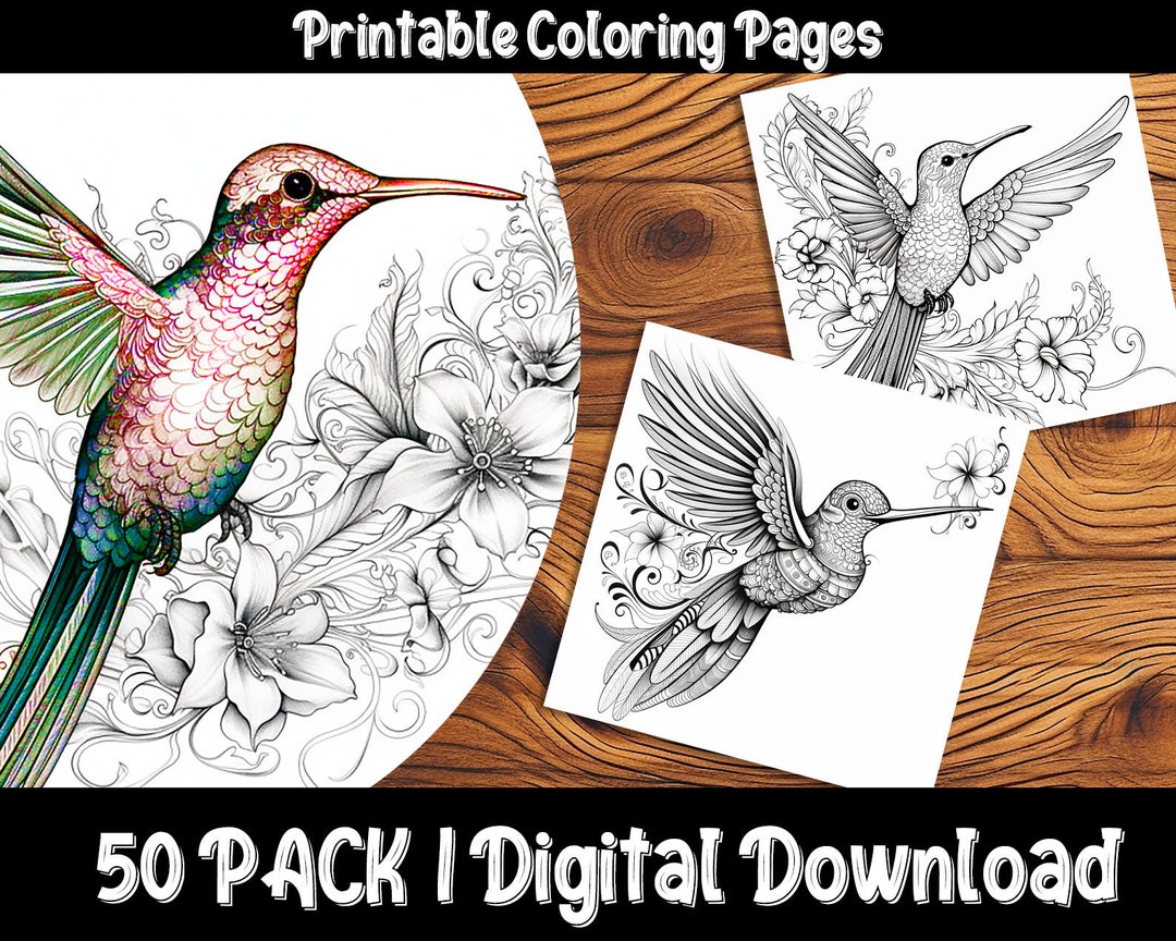 Exquisite Hummingbird Coloring Pages: Engage in a Relaxing Activity ...