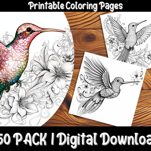 Hummingbird Coloring - Etsy