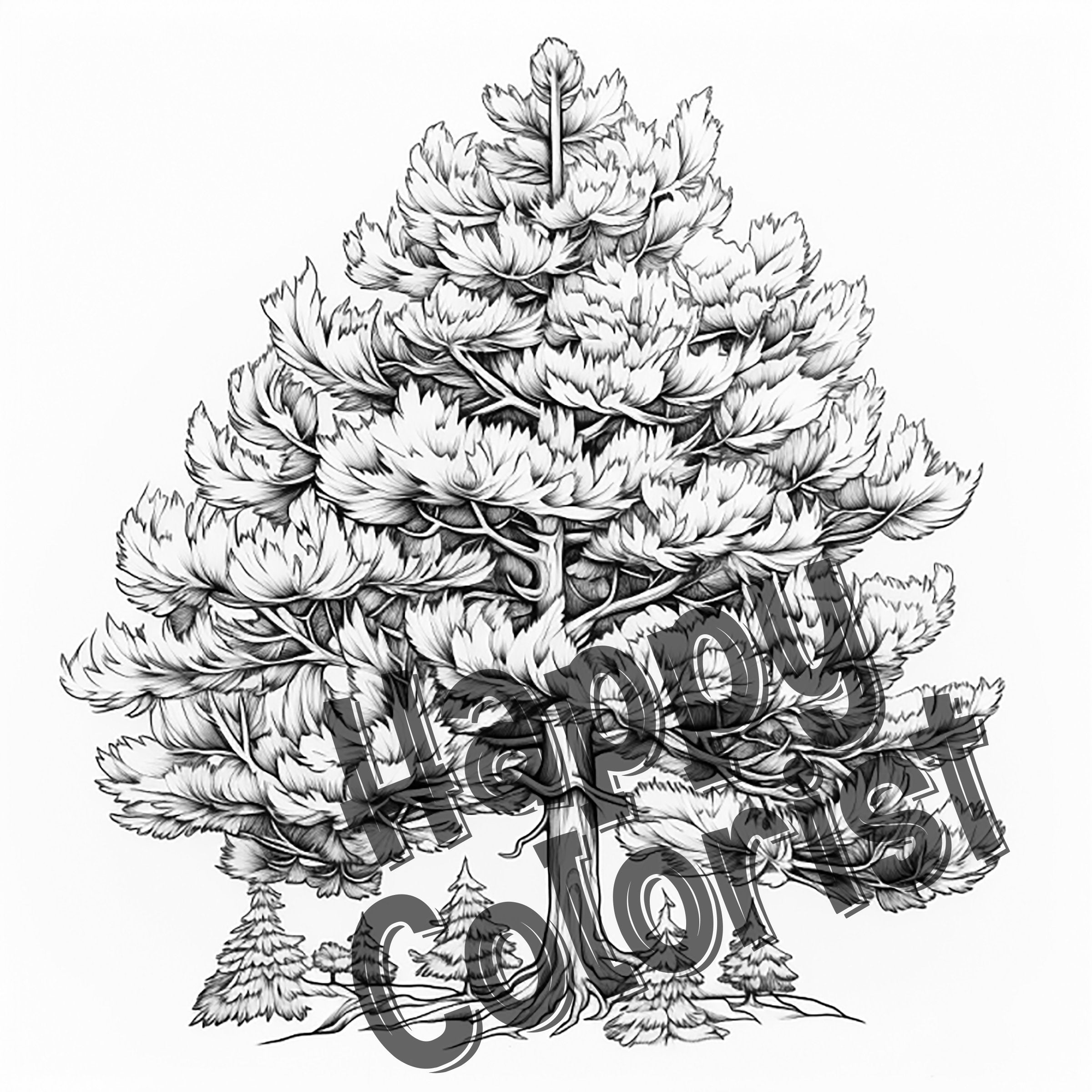 Trees Coloring Pages: Explore the Beauty of Nature With Our Fun and ...