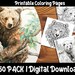 Adorable Bear Coloring Pages: Fun and Relaxing Activity for Kids and ...
