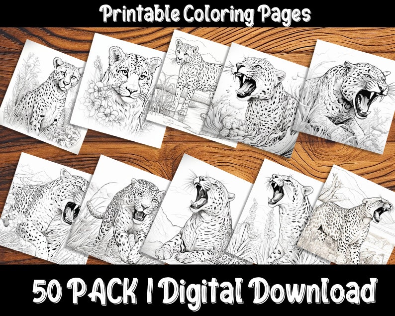 Cheetah Coloring Pages: Engaging and Relaxing Activity for All Ages ...