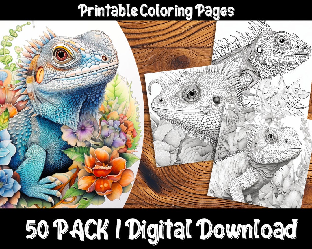 Exotic Lizard Coloring Pages: Engaging Activity for Kids and Adults ...