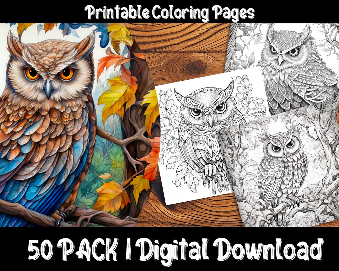 Owl Wonderland Coloring Pages - 50 Pack of Fun & Complex Owl Coloring ...
