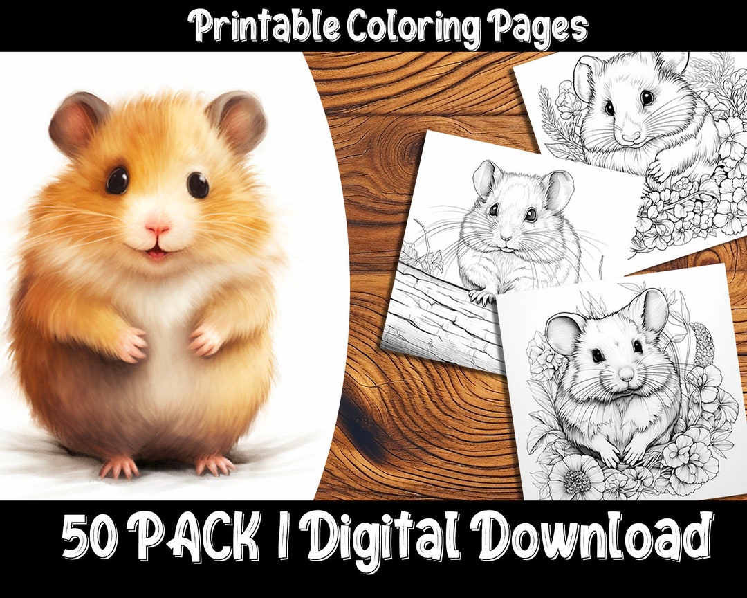 Hamster Coloring Pages: Dive Into the Cute World of Hamsters With Our ...