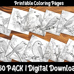 Bird-themed Coloring Pages: Engaging and Relaxing Activity for All Ages ...