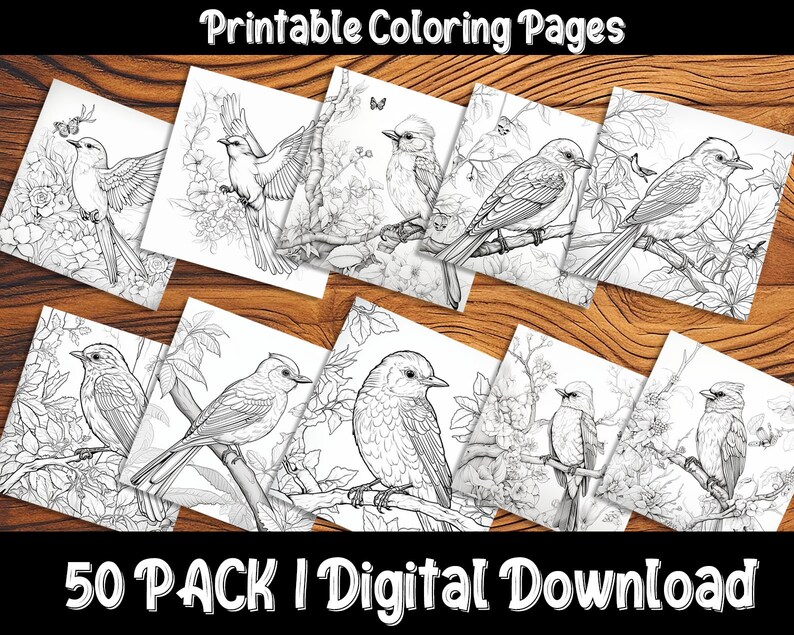 Bird-themed Coloring Pages: Engaging and Relaxing Activity for All Ages ...