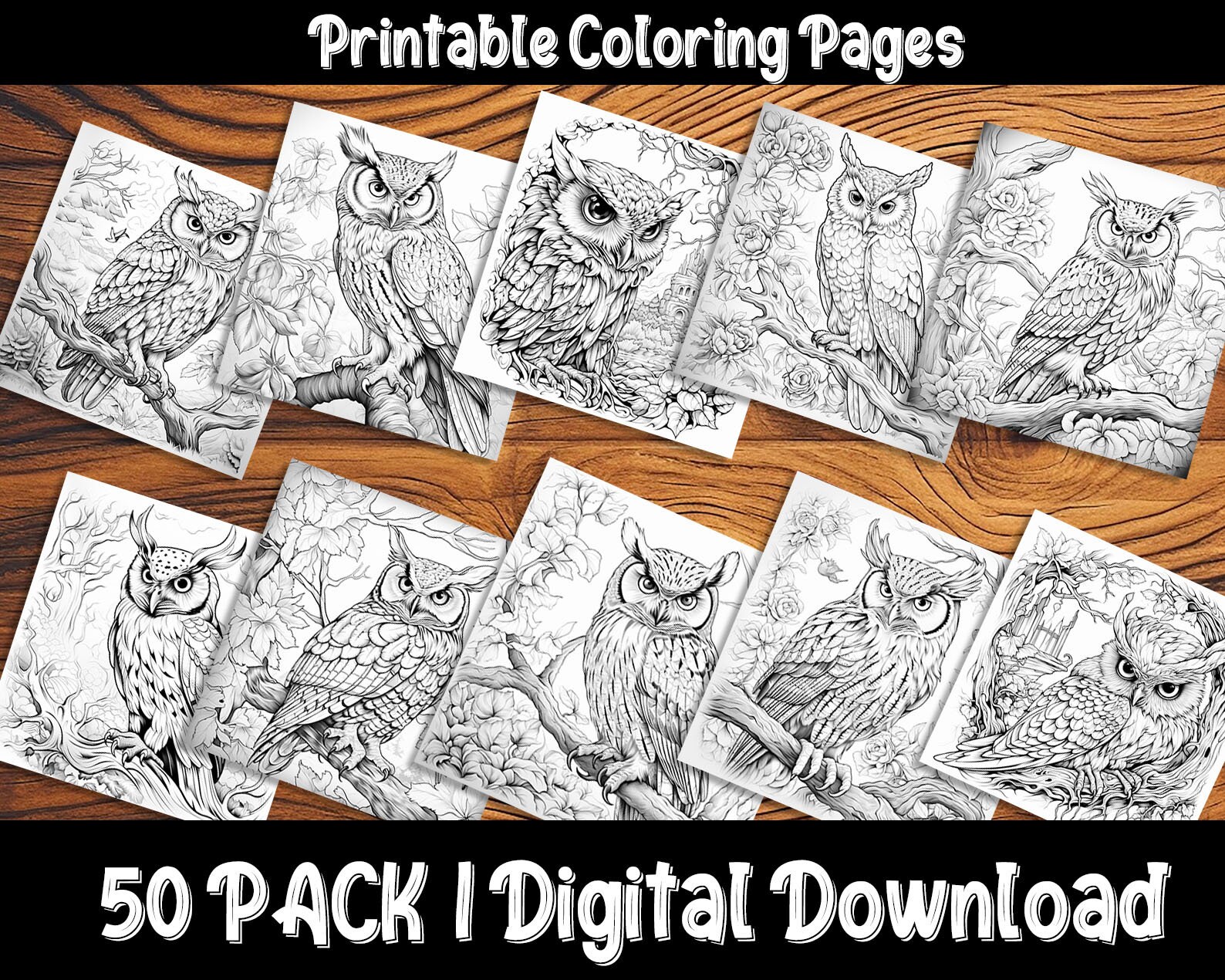 Owl Wonderland Coloring Pages - 50 Pack of Fun & Complex Owl Coloring ...
