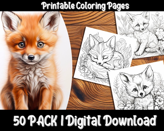 Baby Tails The Fox Coloring Pages