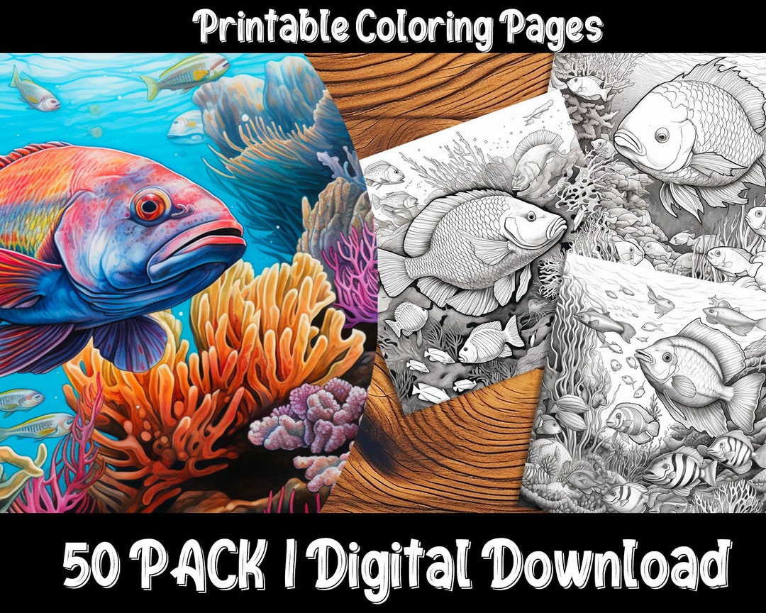 Underwater Adventure: Schools of Fish Coloring Pages for Relaxation and ...