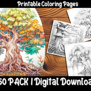 Trees Coloring Pages: Explore the Beauty of Nature With Our Fun and ...