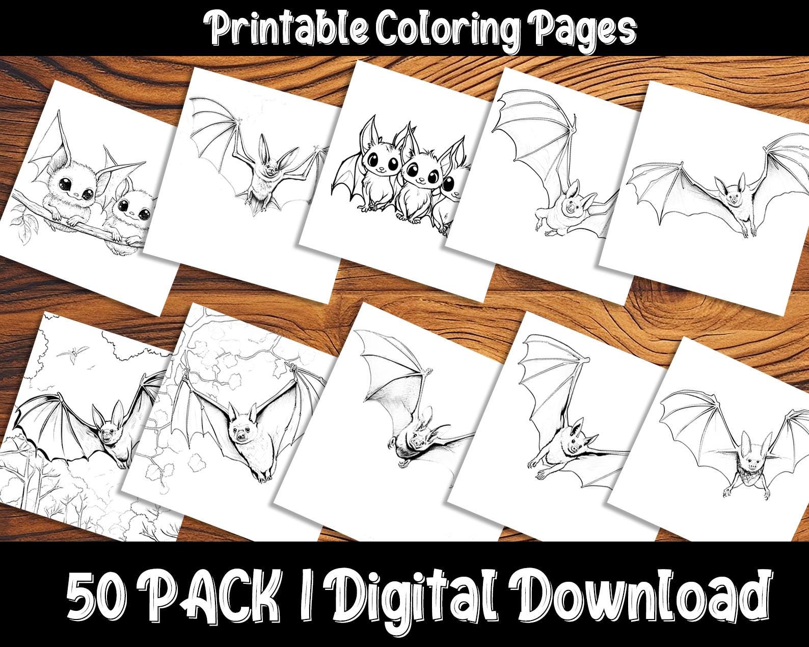 50 Bat Coloring Pages Pack Cute, Cartoon and Realistic Bat Designs for ...