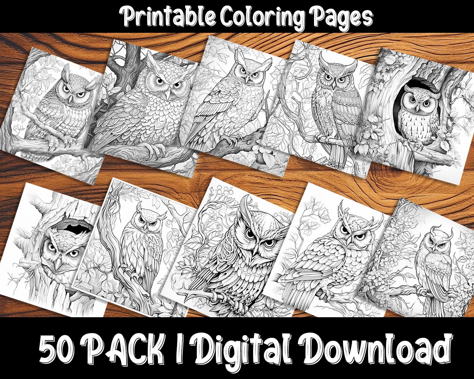 Owl Wonderland Coloring Pages - 50 Pack of Fun & Complex Owl Coloring ...