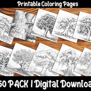 Trees Coloring Pages: Explore the Beauty of Nature With Our Fun and ...