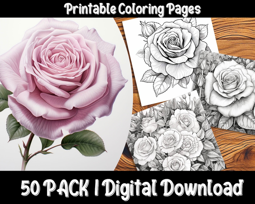 Roses Coloring Pages: Unleash Your Creativity With Our Beautiful, Hand ...