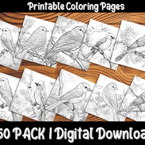 Bird-themed Coloring Pages: Engaging and Relaxing Activity for All Ages ...