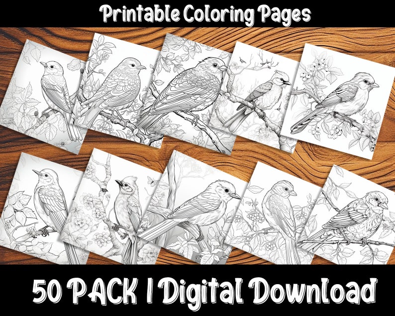 Bird-themed Coloring Pages: Engaging and Relaxing Activity for All Ages ...
