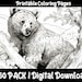 Adorable Bear Coloring Pages: Fun and Relaxing Activity for Kids and ...