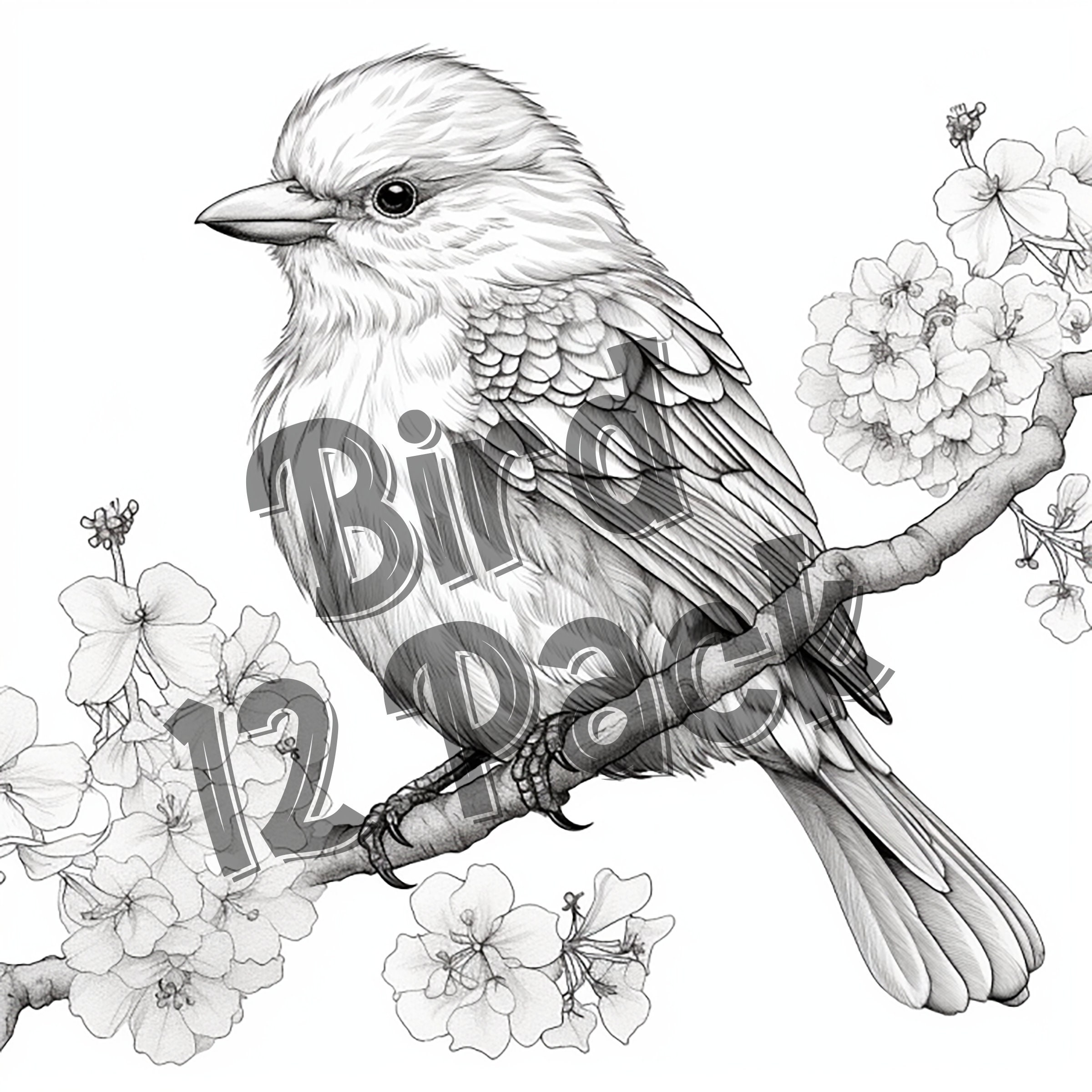 Bird-themed Coloring Pages: Engaging and Relaxing Activity for All Ages ...
