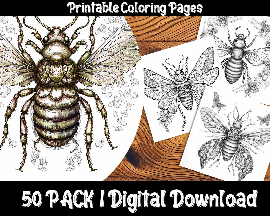 Buzzing Insects Coloring Pages: A Variety of Detailed Insect ...