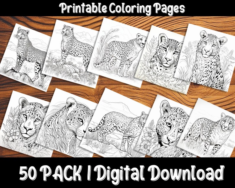 Cheetah Coloring Pages: Engaging and Relaxing Activity for All Ages ...