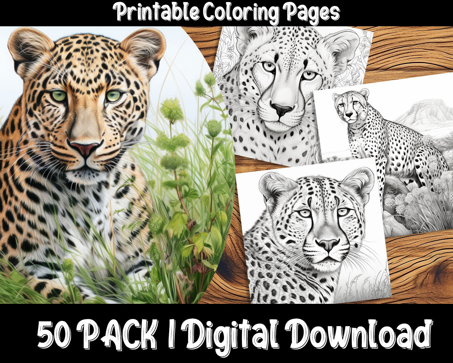 Cheetah Coloring Pages: Engaging and Relaxing Activity for All Ages ...
