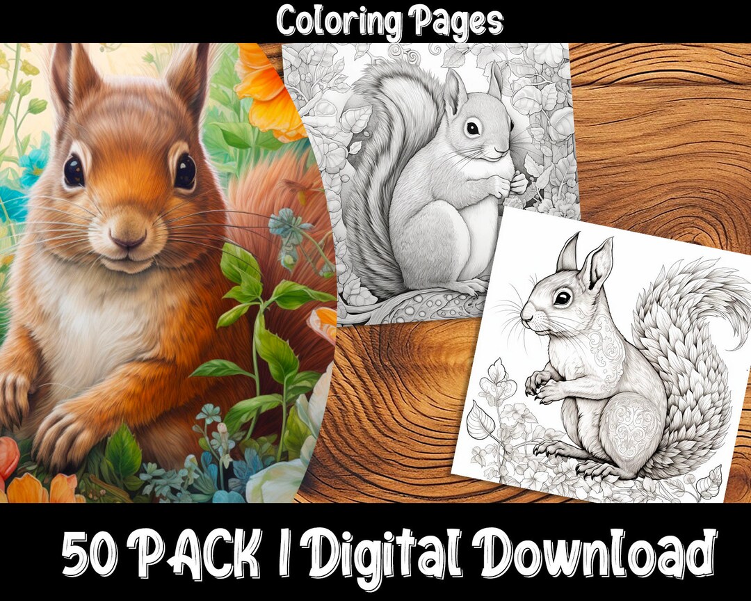 Squirrel Adventure: A Fun and Relaxing Coloring Page Featuring ...