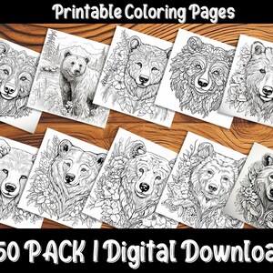 Adorable Bear Coloring Pages: Fun and Relaxing Activity for Kids and ...