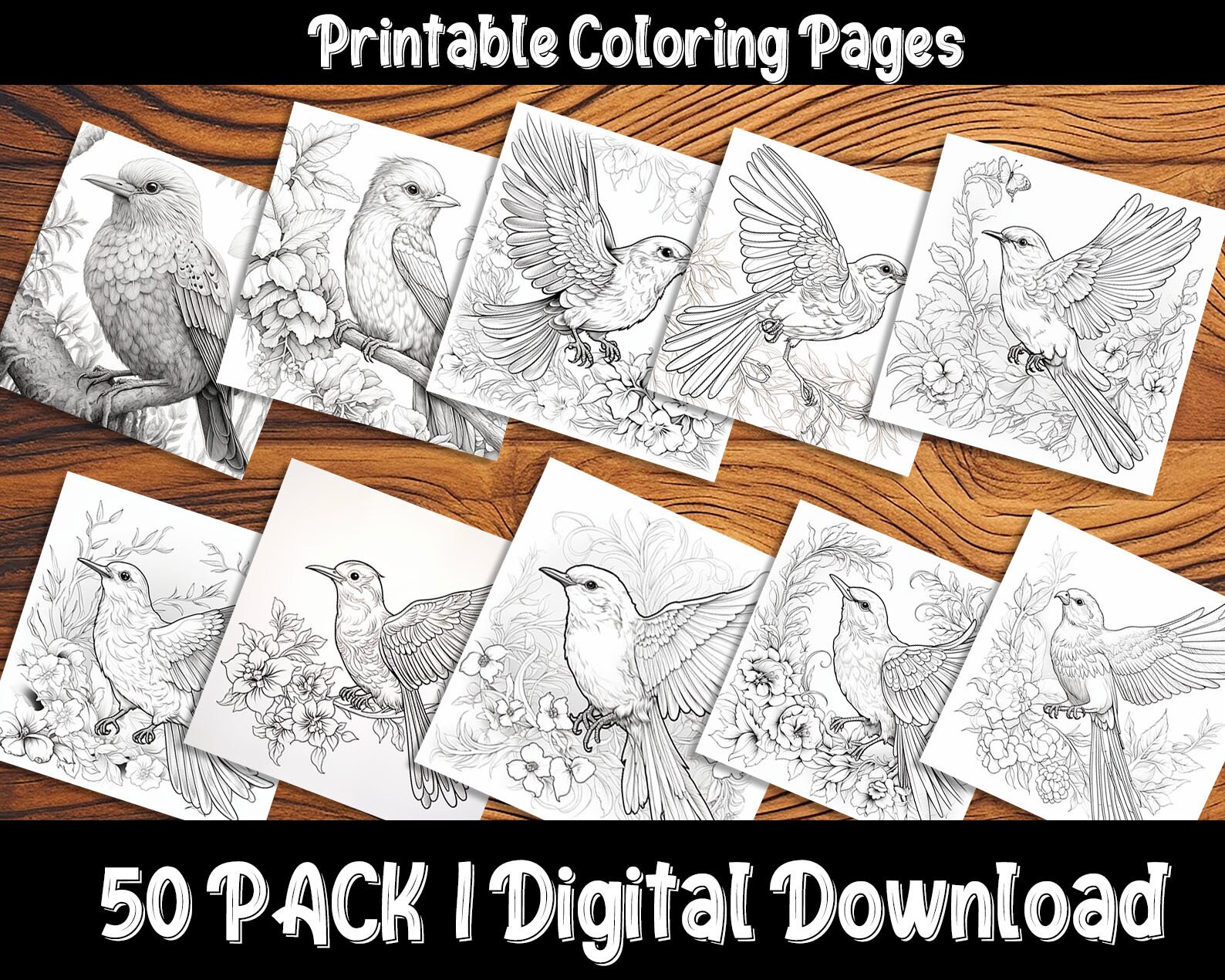 Bird-themed Coloring Pages: Engaging and Relaxing Activity for All Ages ...