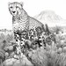 Cheetah Coloring Pages: Engaging and Relaxing Activity for All Ages ...